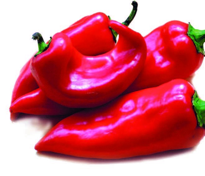 Paprika rog crvena 1kg - Akcija - Njuškalo katalozi