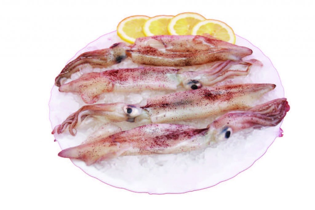 Lignja patagonika smrznuta 1 kg - Tommy - Akcija - Njuškalo katalozi