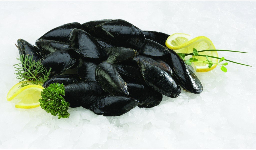 Dagnja 1 kg - Akcija - Njuškalo katalozi