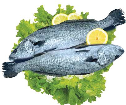 Hama rep 1 kg - Tommy - Akcija - Njuškalo katalozi