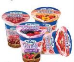 Voćni jogurt Fruity Meggle 150 g - Djelo - Akcija - Njuškalo katalozi