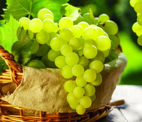 Bijelo grožđe 1 kg - Gavranović - Akcija - Njuškalo katalozi