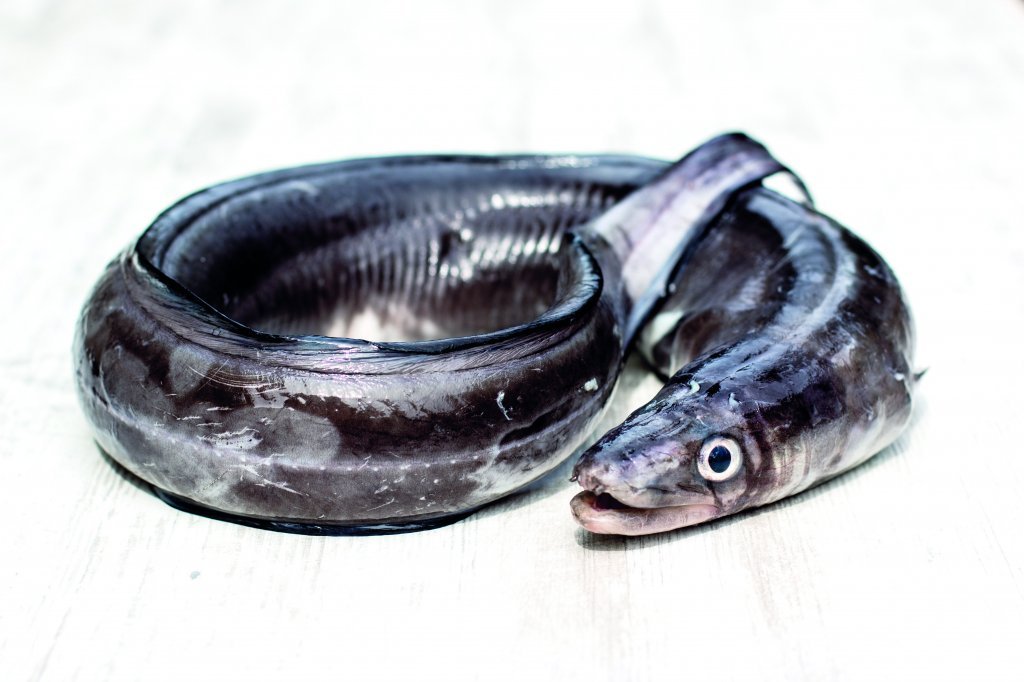 Ugor parangal 1 kg - Akcija - Njuškalo katalozi