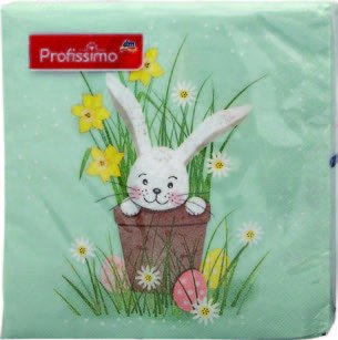 Ubrusi DmBio 33x33 cm 20/1 - Akcija - Njuškalo katalozi