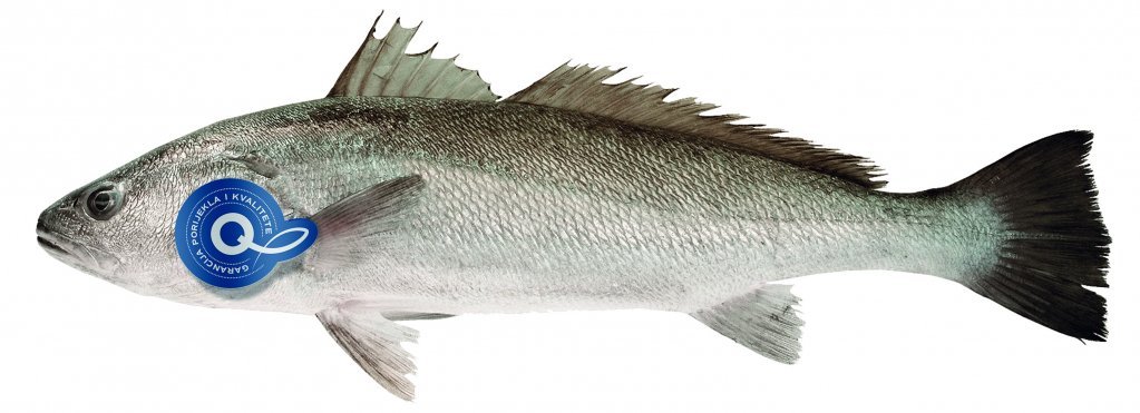 Hama 1 kg - Akcija - Njuškalo katalozi