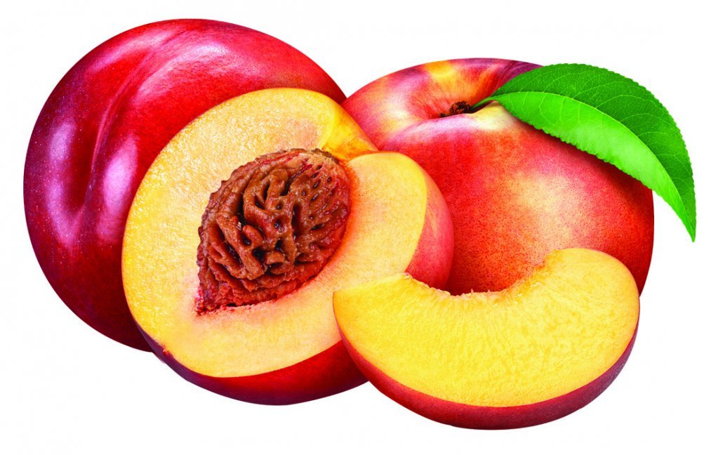 Nektarina 1 kg - Bakmaz - Akcija - Njuškalo katalozi