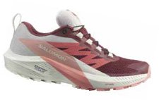 Muška ili ženska sportska obuća Salomon Sense Ride 6 Gore-Tex - Hervis ...