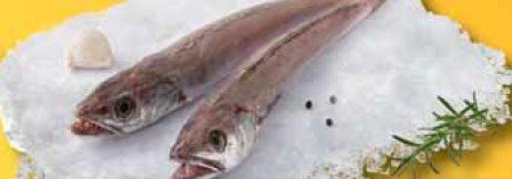 Svježi očišćeni oslić 1 kg - Lidl - Akcija - Njuškalo katalozi