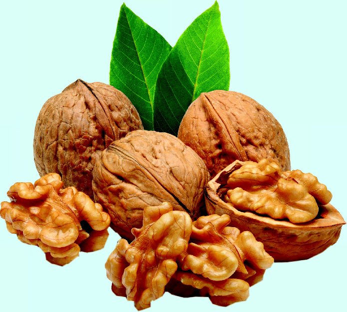 Orah jezgra 1 kg - Boso - Akcija - Njuškalo katalozi