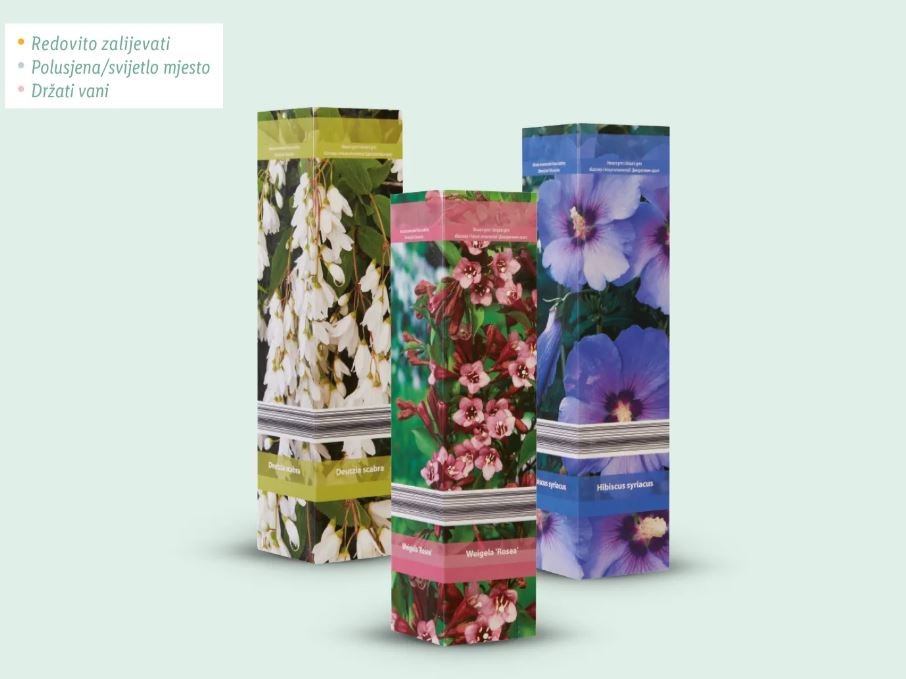 Ukrasni grm - Lidl - Akcija - Njuškalo katalozi