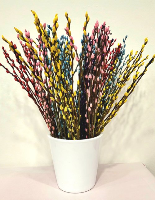 Buket Salixa-cice mace 1 buket - Akcija - Njuškalo katalozi