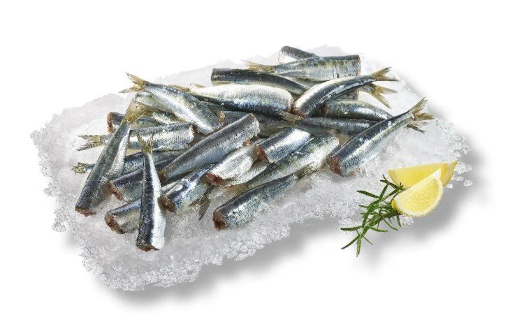 Svježa očišćena jadranska srdela 400 g - Lidl - Akcija - Njuškalo katalozi
