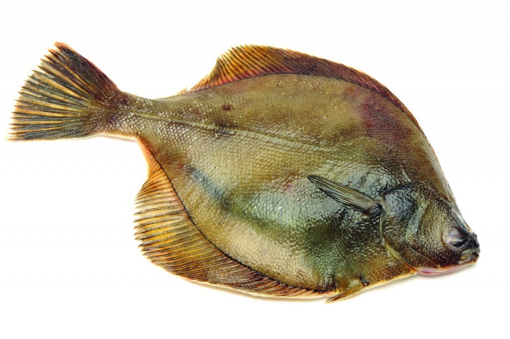 Romb 1kg - Akcija - Njuškalo katalozi