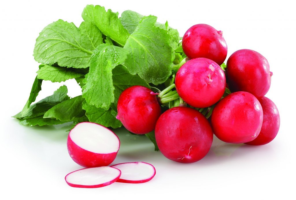 Rotkvica vezica cca. 200g 1 kom - Akcija - Njuškalo katalozi