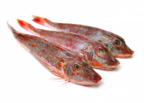 Kokot 1kg - Akcija - Njuškalo katalozi