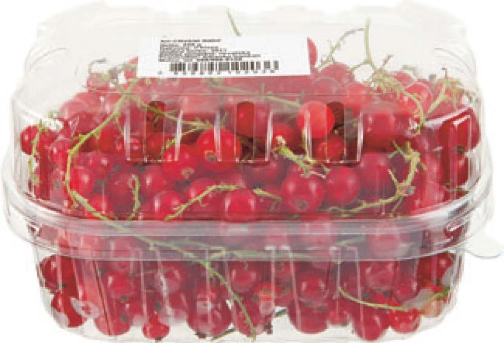 Crveni ribizl košaricia cca. 125 g - Kaufland - Akcija - Njuškalo katalozi
