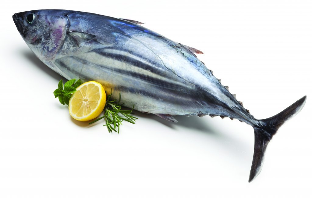 Tuna Alalunga 1 kg - Akcija - Njuškalo katalozi